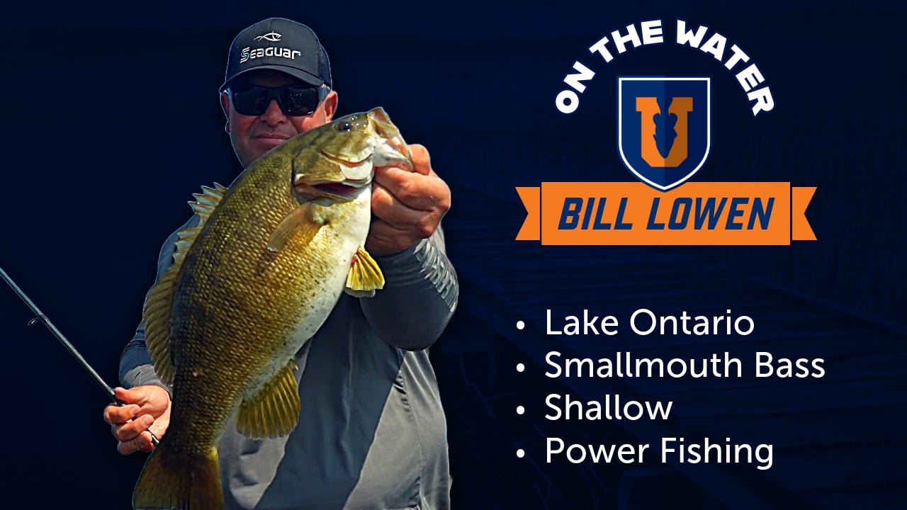 Shallow Smallmouth Bass Fishing Secrets - Bill Lowen